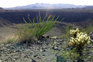 La Sierra del Pinacate en Sonora ¡Un viaje a la Luna! | El Souvenir