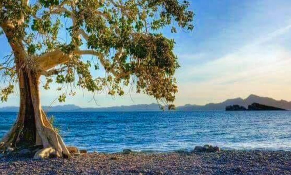 Visita la hermosa playa de Juncalito: una belleza de Baja California ...
