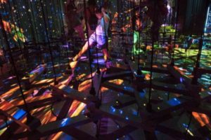 Museo TeamLab Borderless: ¡Vive una experiencia de colores! | El Souvenir