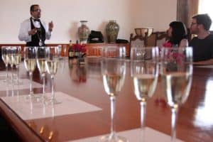 Viñedos Freixenet Querétaro: la cava que te enamorará al visitarla | El ...