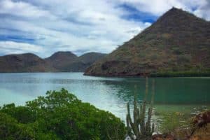 Visita la hermosa playa de Juncalito: una belleza de Baja California ...