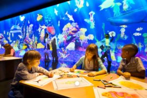 Museo TeamLab Borderless: ¡Vive una experiencia de colores! | El Souvenir