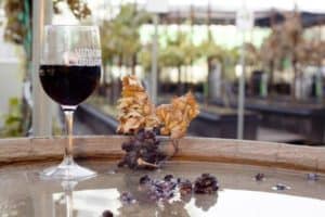 Viñedo en una azotea de la CDMX, Vinícola Urbana