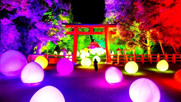 Museo TeamLab Borderless: ¡Vive una experiencia de colores! | El Souvenir
