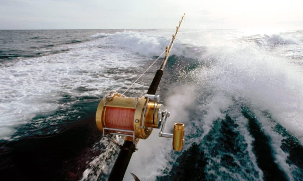 Lugares para pescar en Baja California Sur, ¡Una maravillosa pesca ...