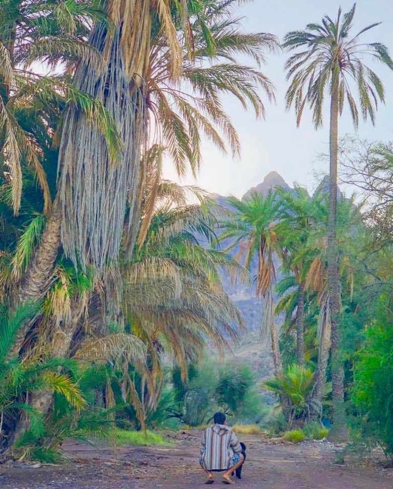 Visita la hermosa playa de Juncalito: una belleza de Baja California ...