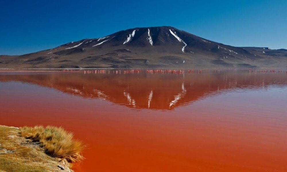 Lago Natrón, Tanzania: aguas rojas que convierten animales en piedra ...