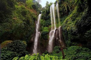 Qué visitar en Agua Selva Tabasco, ¡visítalo! | El Souvenir