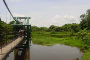 Qué visitar en Agua Selva Tabasco, ¡visítalo! | El Souvenir