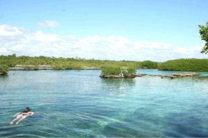 Laguna Yal-Kú en Riviera Maya ¡Asombrate con su belleza! | El Souvenir