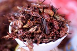 Tarántula frita: un platillo exótico de Camboya ¿Quieres un bocado ...