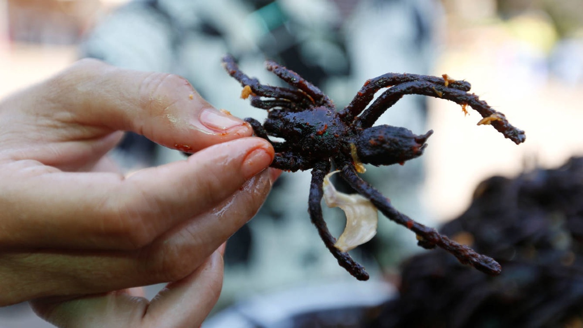 Tarántula frita: un platillo exótico de Camboya ¿Quieres un bocado ...