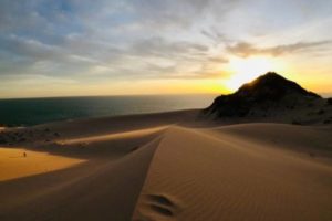 Las impresionantes Dunas de México ¡Aventúrate! | El Souvenir