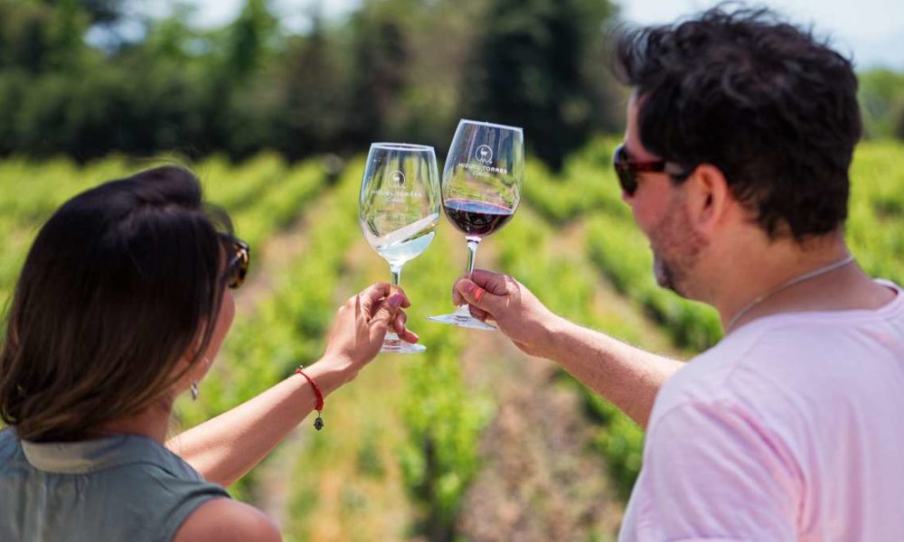 ¡Descubre las bodegas de vino sostenibles en Anaheim! | El Souvenir