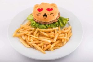 Catfecito CDMX, el lugar ideal para los amantes de los gatos | El Souvenir