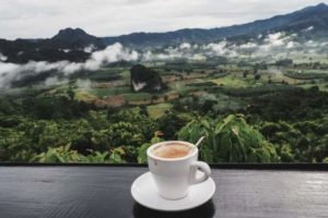 Roadtrip para degustar café en Puerto Rico | El Souvenir