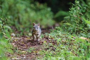 Sótano de Barro en Querétaro: una maravilla natural que resguarda algo ...