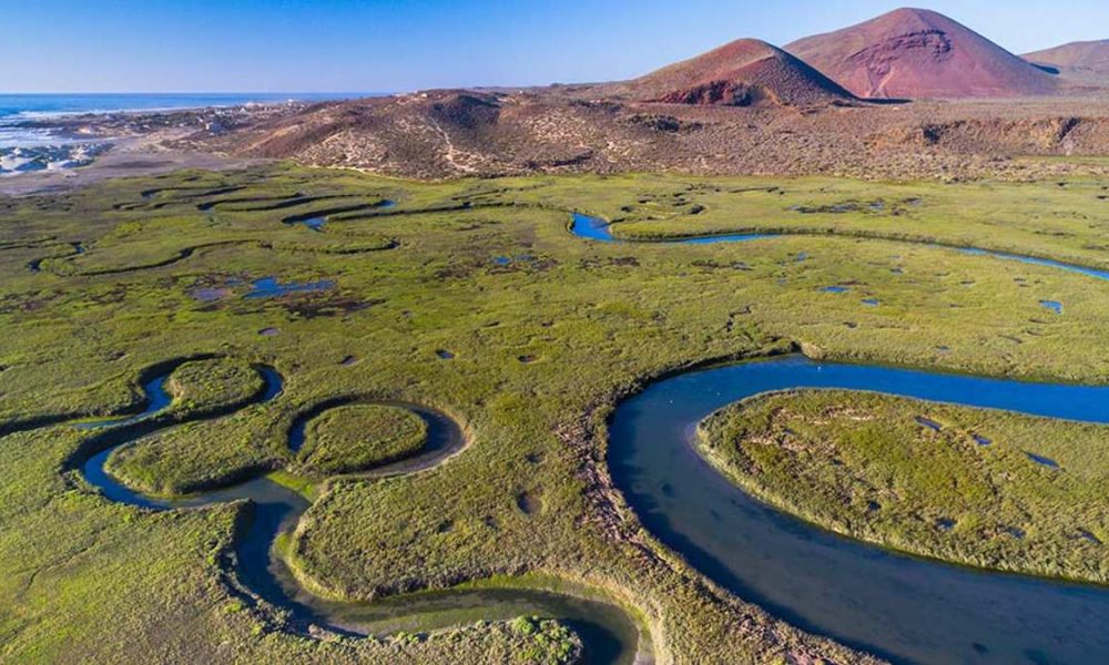 ¿Que hacer en San Quintín, Baja California? | El Souvenir