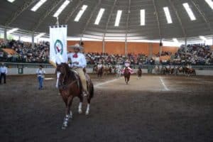 Fin de semana en Tepatepec, Hidalgo | El Souvenir