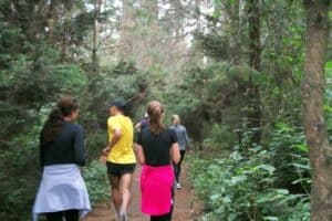 El bosque de Tlalpan: Un tesoro nacional | El Souvenir