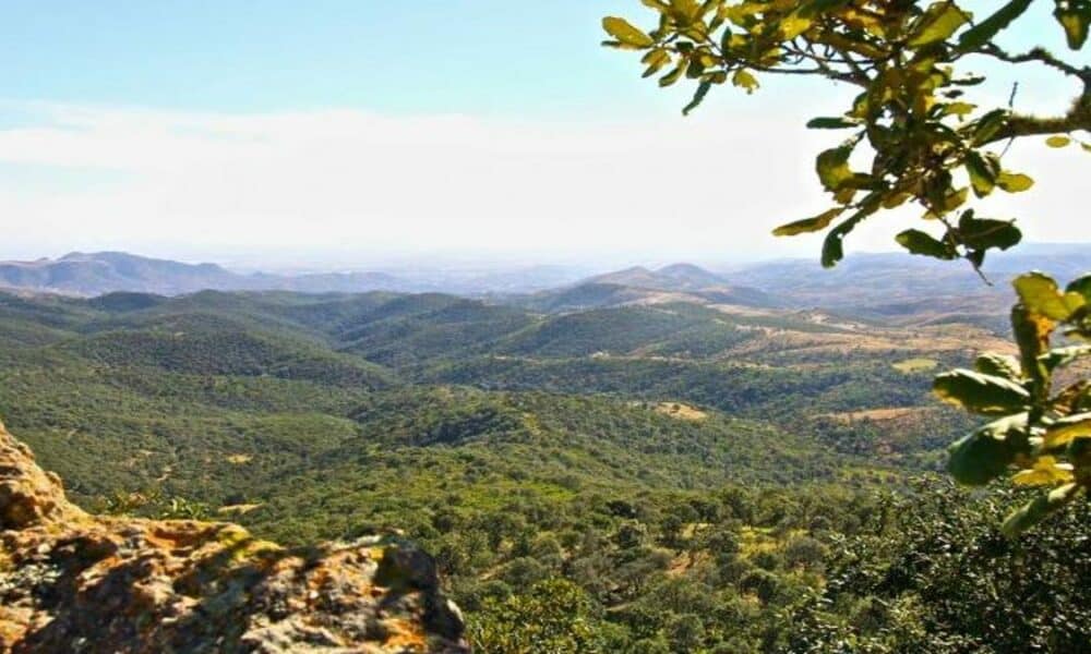 Las palomas, una reserva natural en Guanajuato | El Souvenir