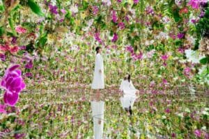 TeamLab Planets ¡una conexión real con el arte! | El Souvenir