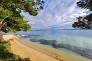 Palancar, uno de los arrecifes más increíbles de Cozumel | El Souvenir