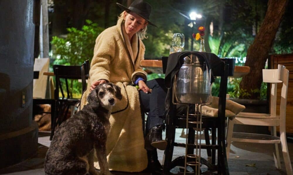 ¡Bienvenida tu mascota! Restaurante Milo´s lo hace posible | El Souvenir