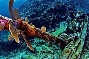Reserva de la Biósfera Banco Chinchorro, ¡tesoro caribeño! | El Souvenir