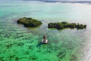 Reserva de la Biósfera Banco Chinchorro, ¡tesoro caribeño! | El Souvenir
