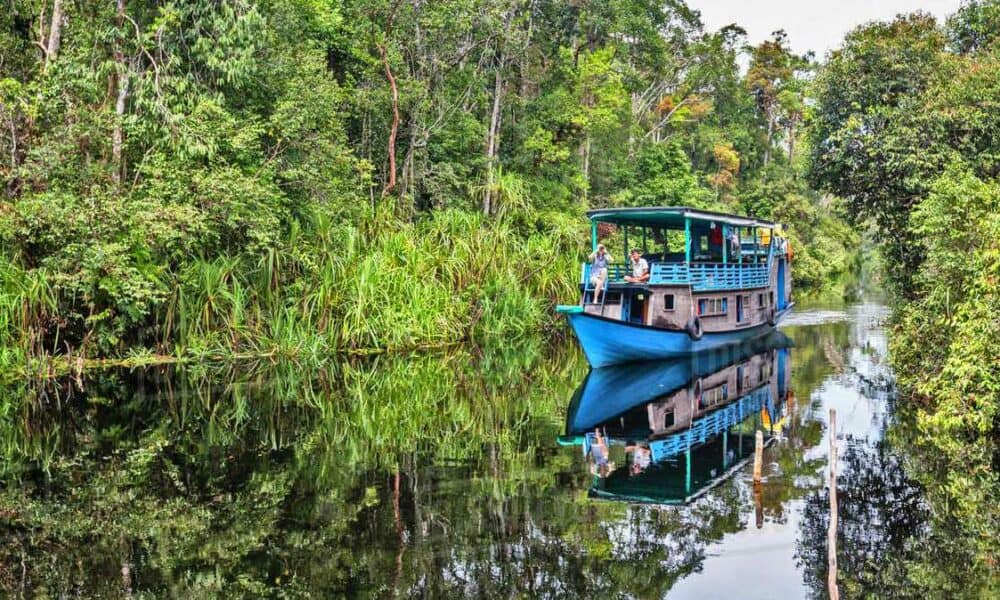Isla Borneo ¡La tercera más grande del mundo! | El Souvenir