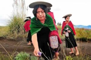 Explorando la fascinante cultura de la tribu Salasaca | El Souvenir