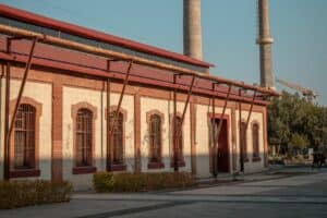 El Chile de Aguascalientes, ¡un platillo que debes probar! | El Souvenir