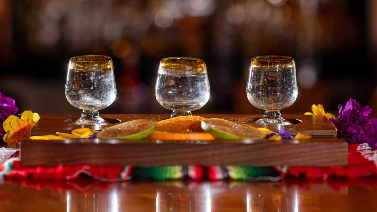 "Tlalchichi los perros de Colima" Maravíllate de su historia