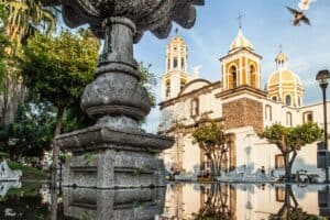 "Tlalchichi los perros de Colima" Maravíllate de su historia