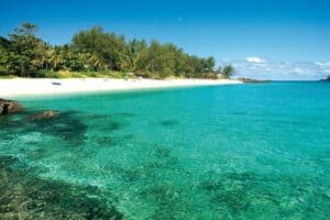 La selva subhúmeda de Madagascar es un destino imperdible en el mundo ...