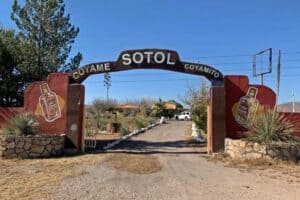 Coyame: la tierra del Sotol y la Revolución Mexicana | El Souvenir