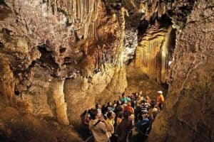 Coyame: la tierra del Sotol y la Revolución Mexicana | El Souvenir