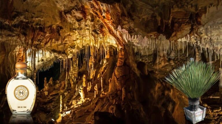 Coyame: la tierra del Sotol y la Revolución Mexicana | El Souvenir