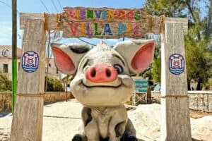 Pig Beach: Donde la arena, el mar y los CERDITOS se unen | El Souvenir