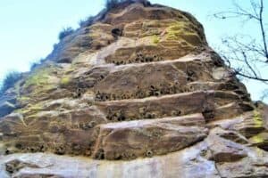 El Ocote y sus cientos de años de historia en Aguascalientes | El Souvenir