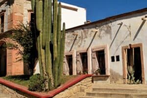 7 Cosas que hacer en Arteaga, Pueblo Mágico de Coahuila | El Souvenir