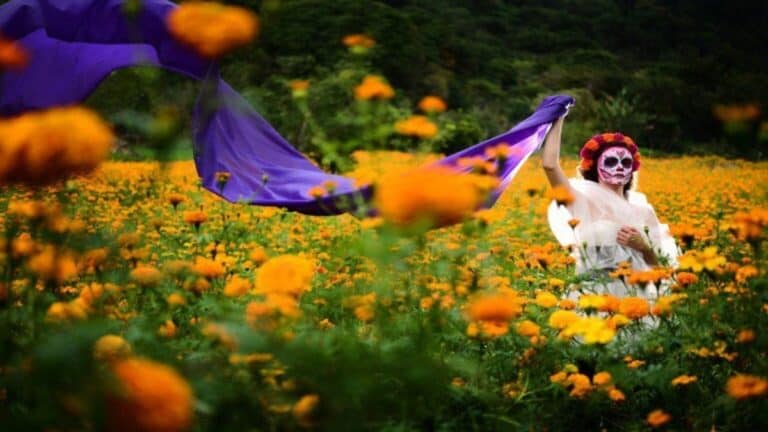 La leyenda del cempasúchil: Un amor que desafía la muerte | El Souvenir