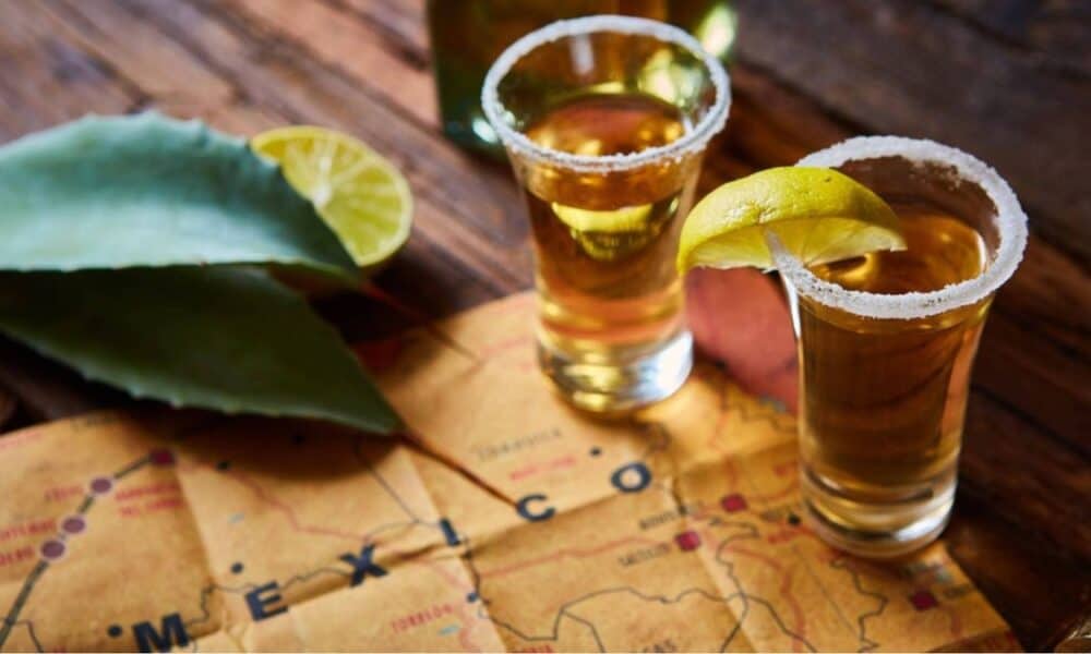 ¿Qué es el champagne? ¡Una bebida muy deliciosa! | El Souvenir