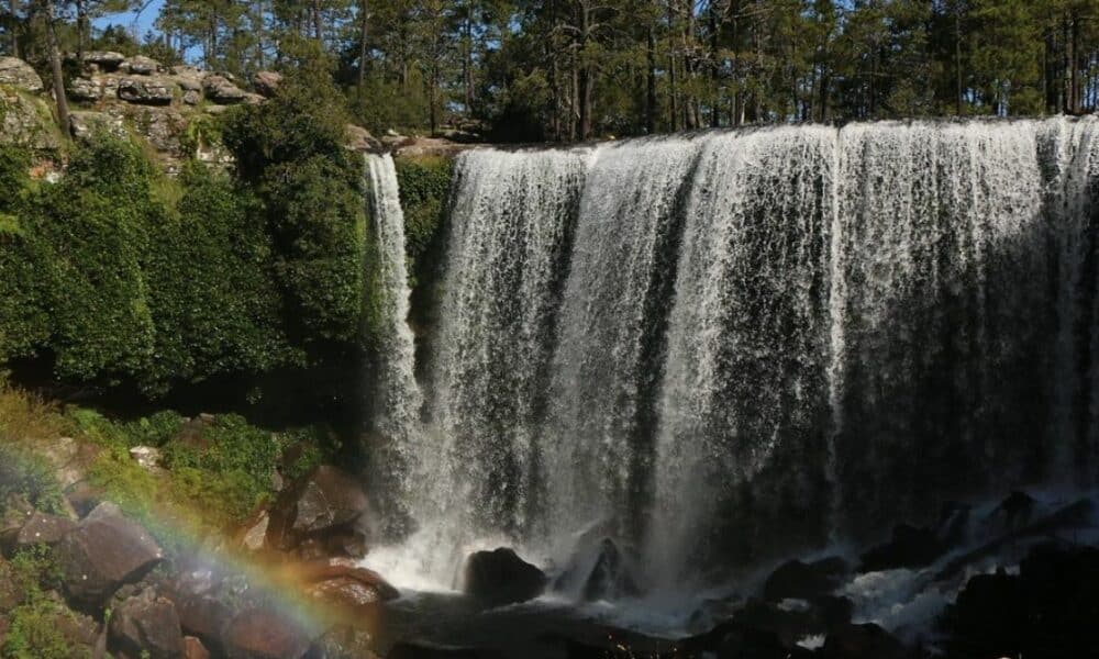 7 Cosas que hacer en Mapimí, Pueblo Mágico de Durango | El Souvenir