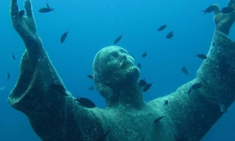 "Tlalchichi los perros de Colima" Maravíllate de su historia