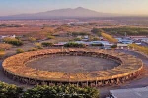 "Tlalchichi los perros de Colima" Maravíllate de su historia