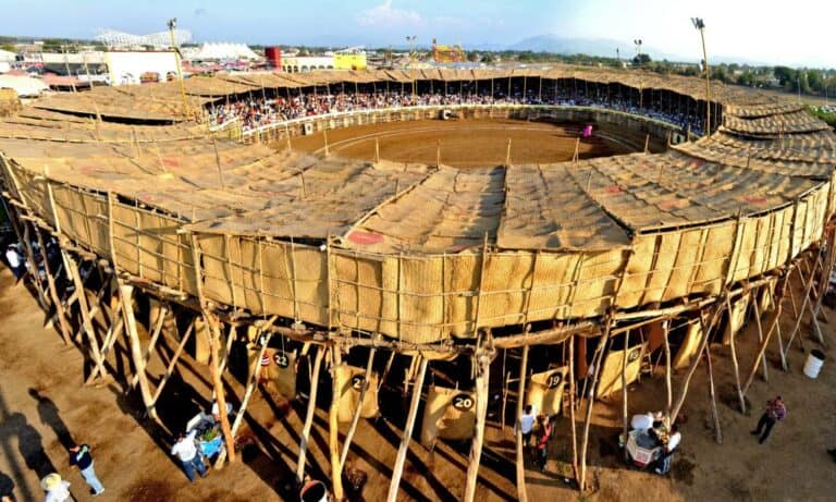 "Tlalchichi los perros de Colima" Maravíllate de su historia