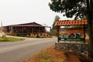 5 curiosidades de Oaxaca que seguro desconocías | El Souvenir