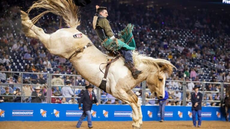 Descubre el FESTIVAL de RODEO en HOUSTON, ¡AJUA! | El Souvenir